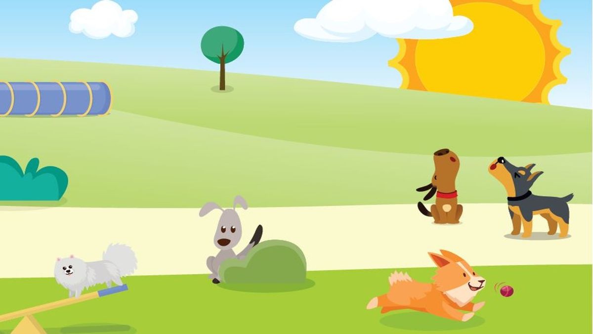 Abrakadabra Pet | Hotel za pse, grooming i obuka vlasnika pasa